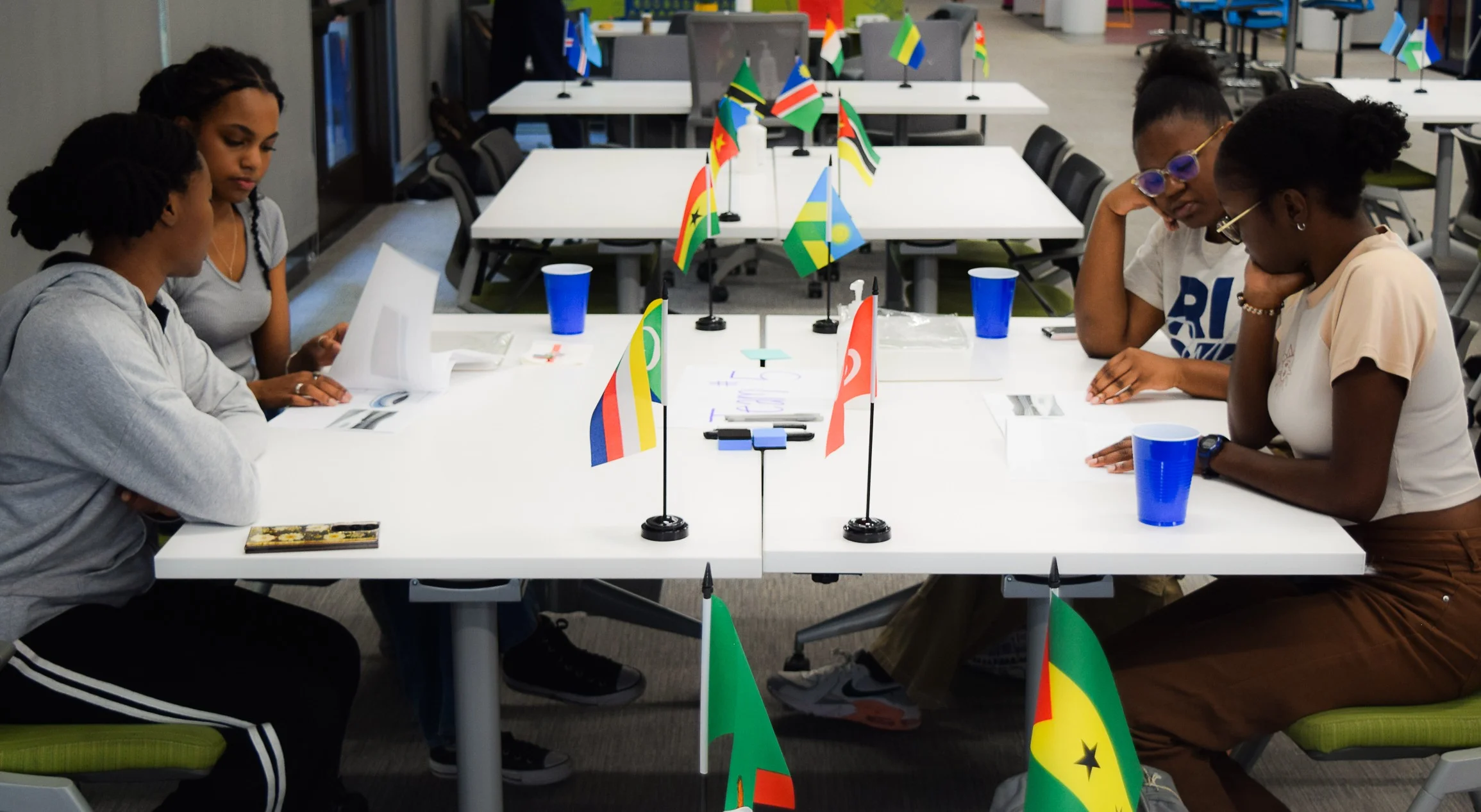 RAADE - Rice Association for African Development